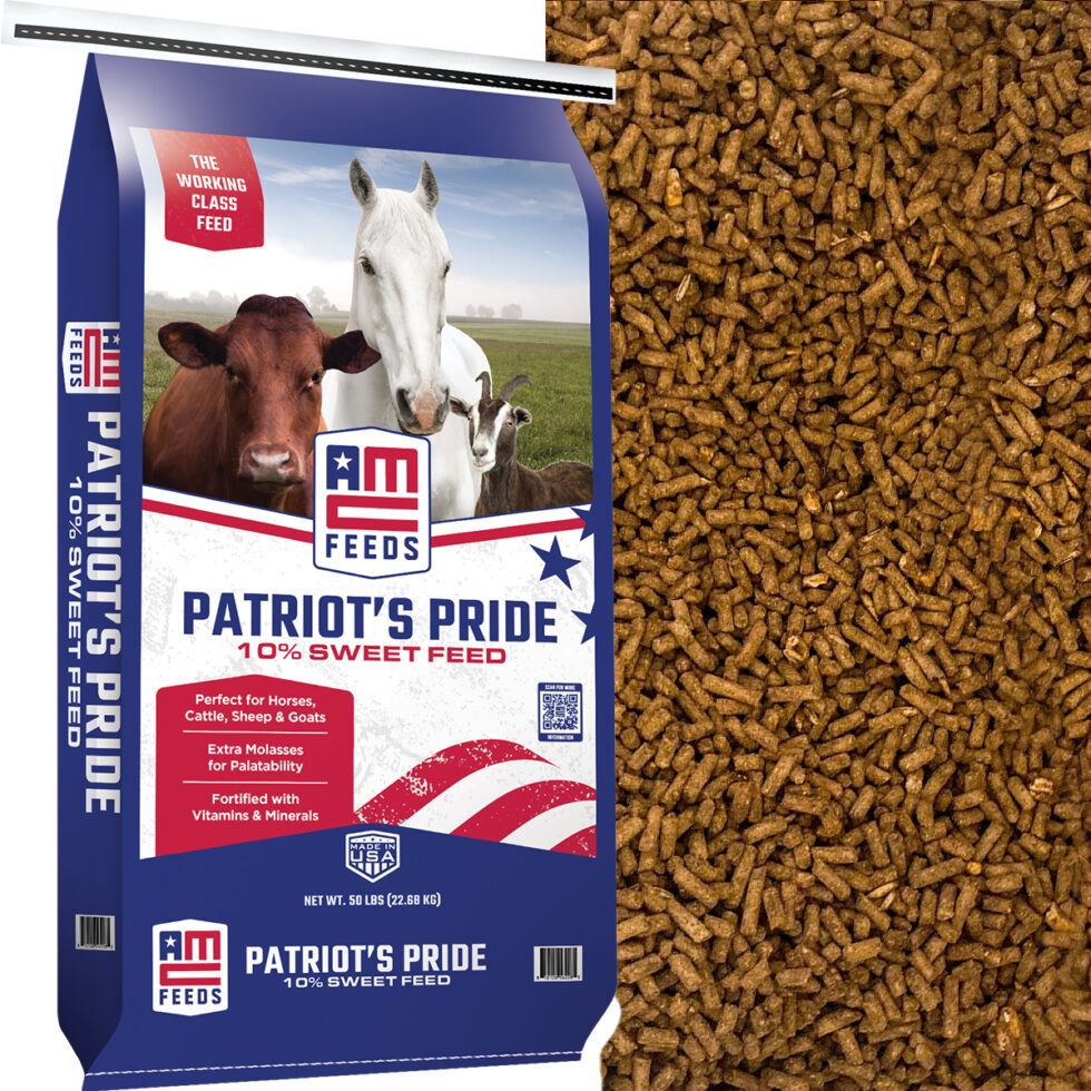 10% Sweet Feed | American Classic Feeds