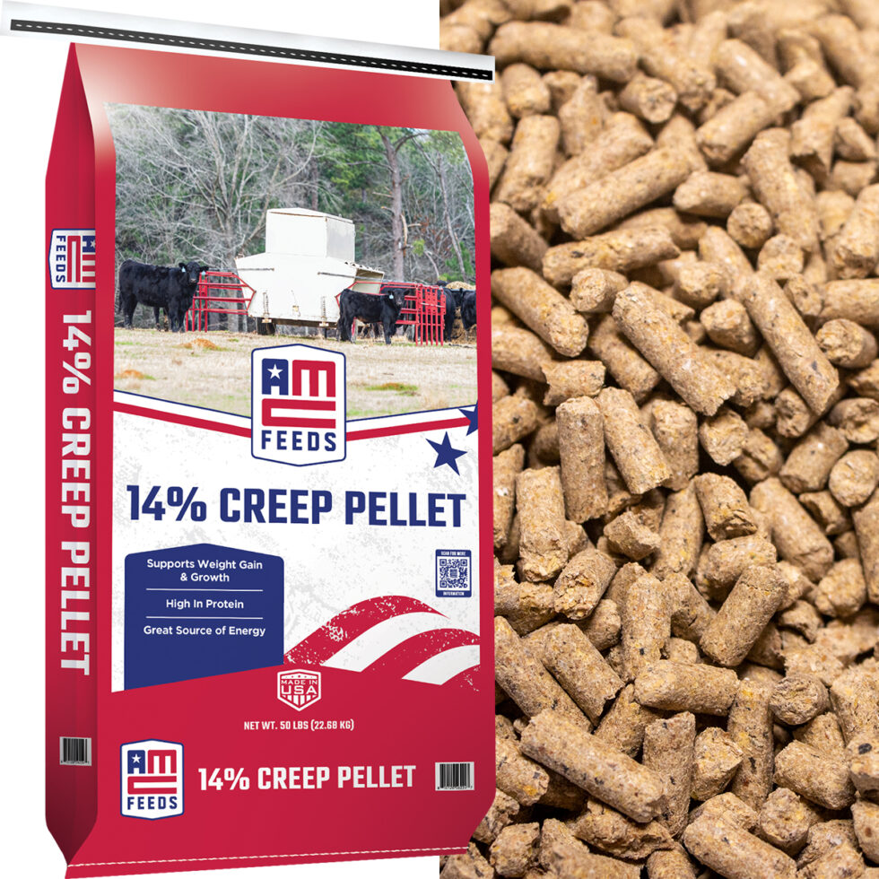 14% Creep Pellet | American Classic Feeds