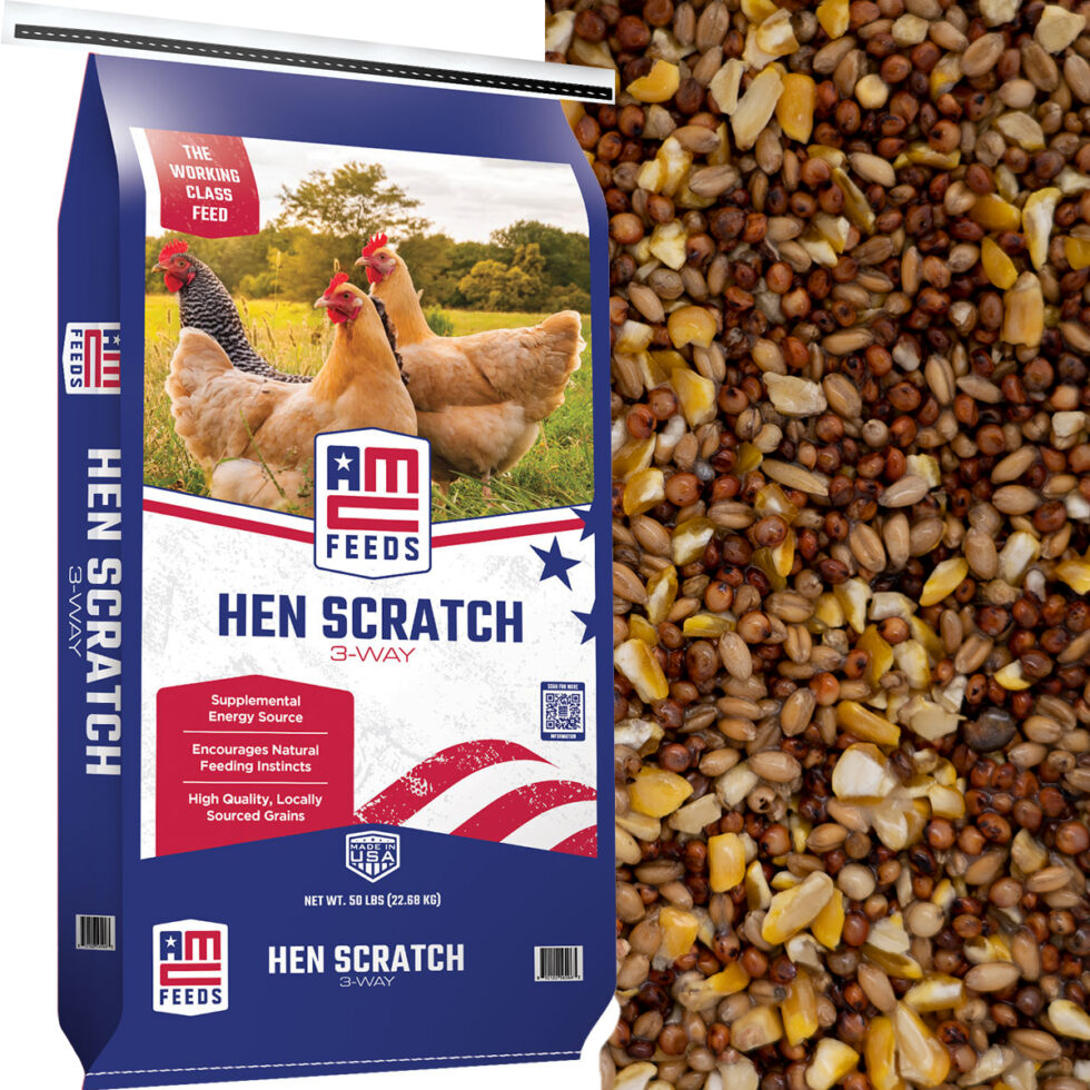 Hen Scratch | American Classic Feeds