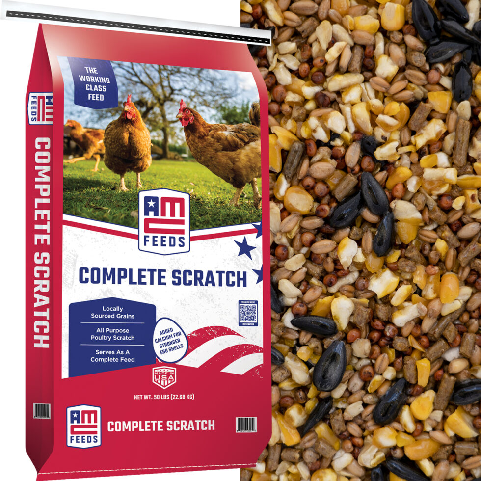 Complete Scratch | American Classic Feeds