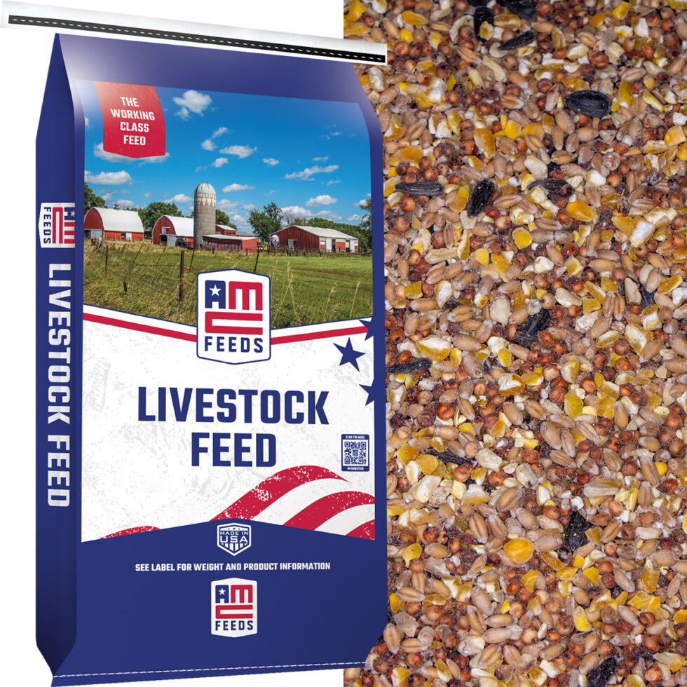 4-Way Scratch | American Classic Feeds