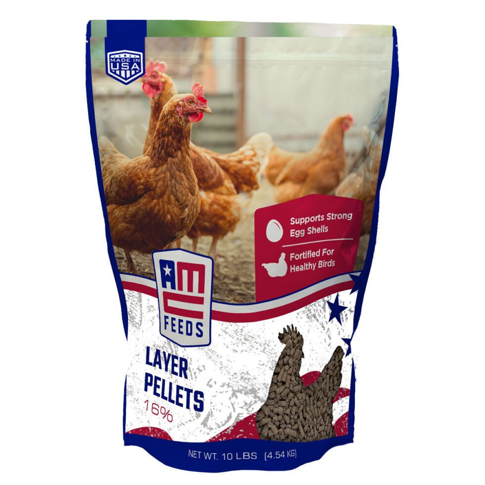 16% Mini Layer Pellets 10lb | American Classic Feeds