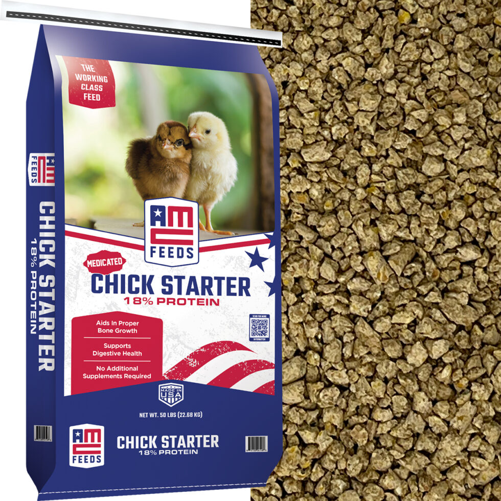 Chick Starter | American Classic Feeds