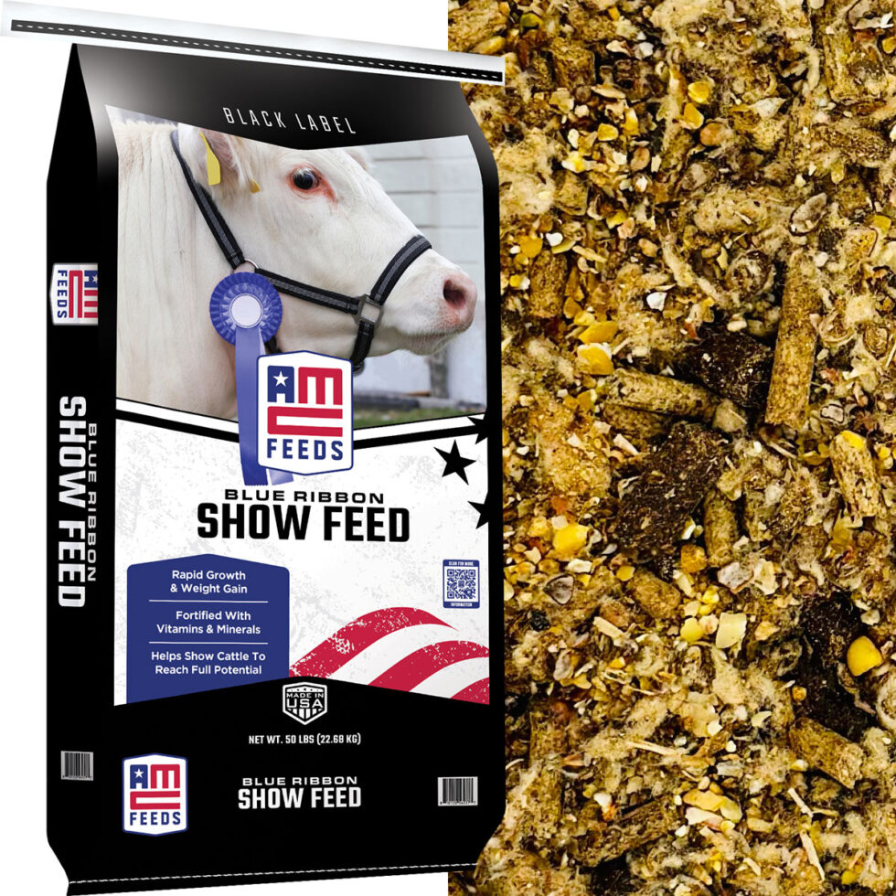 Blue Ribbon Show Feed | American Classic Feeds