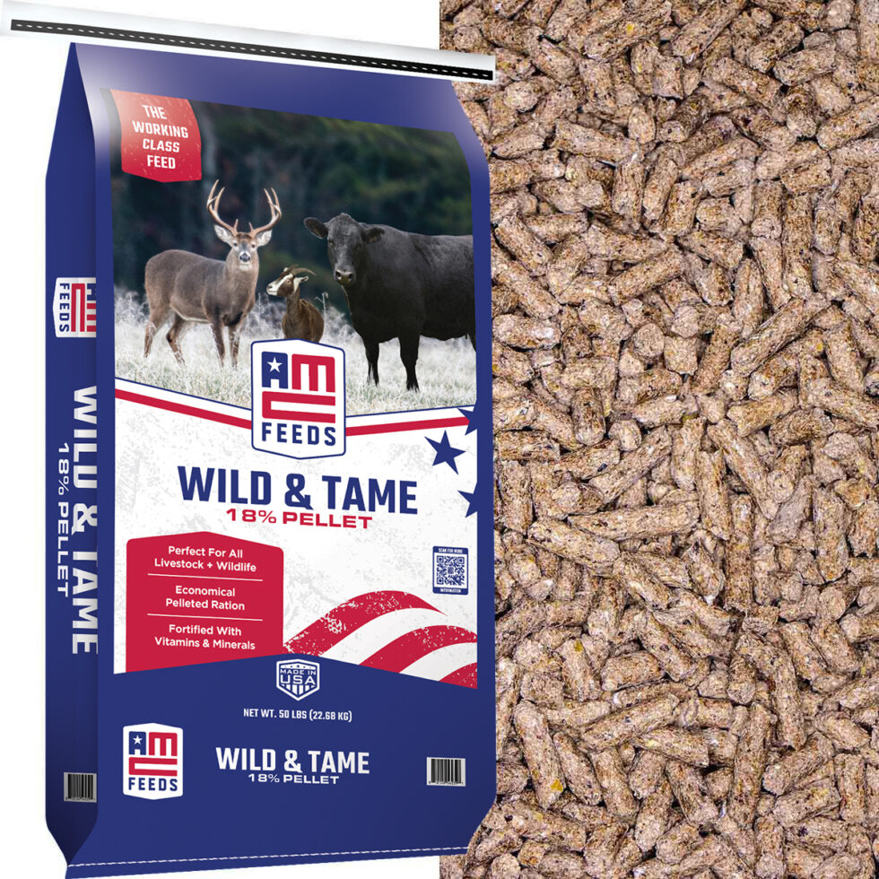 Cattle | American Classic Feeds